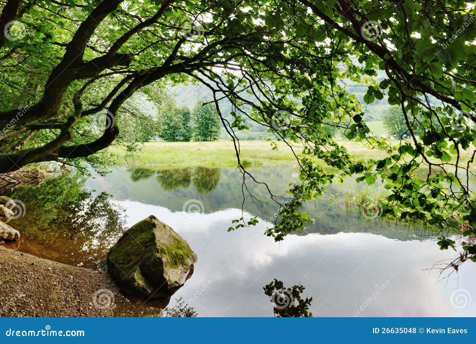 Rock and Overhanging Tree by Lake Stock Photo - Image of green, river ...