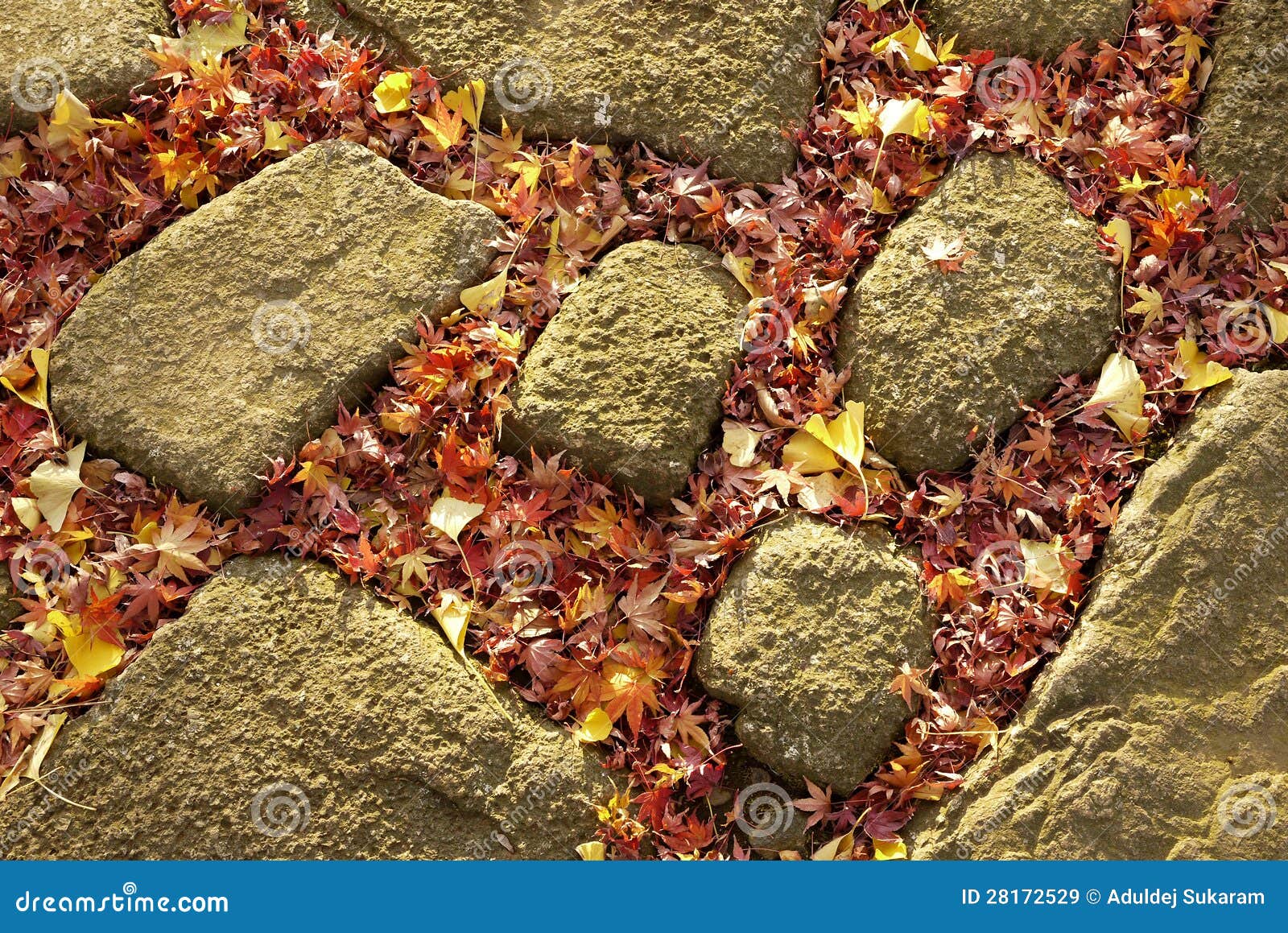 Rock in the Park stock image. Image of tree, season, foliage - 28172529