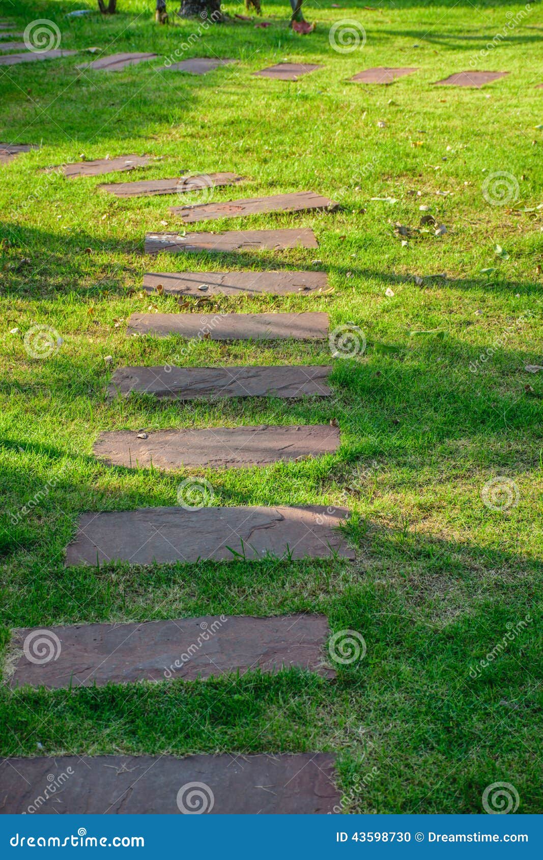 Rock Path stock photo. Image of beauty, nature, garden - 43598730