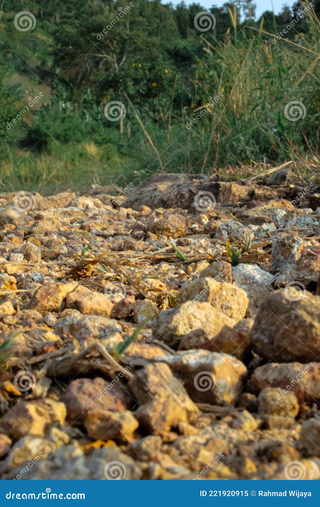 The Rock on the Path in the Mountains Stock Image - Image of soil ...