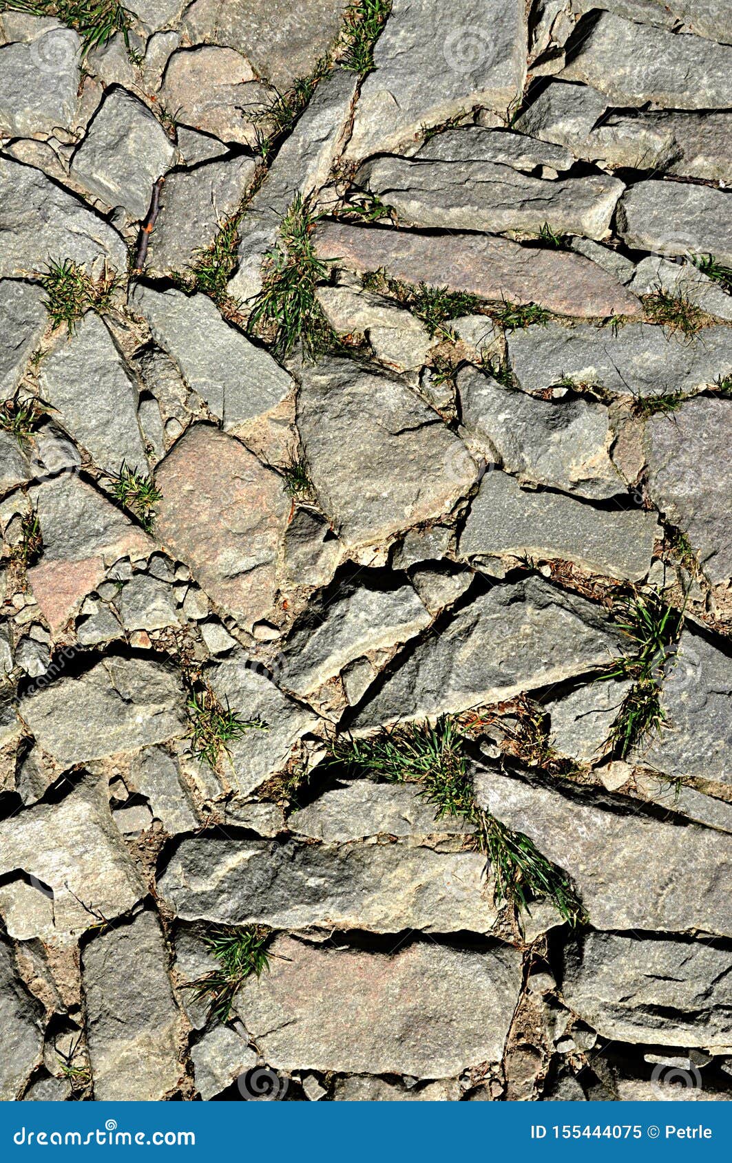 Rock path and nature stock image. Image of view, rock - 155444075