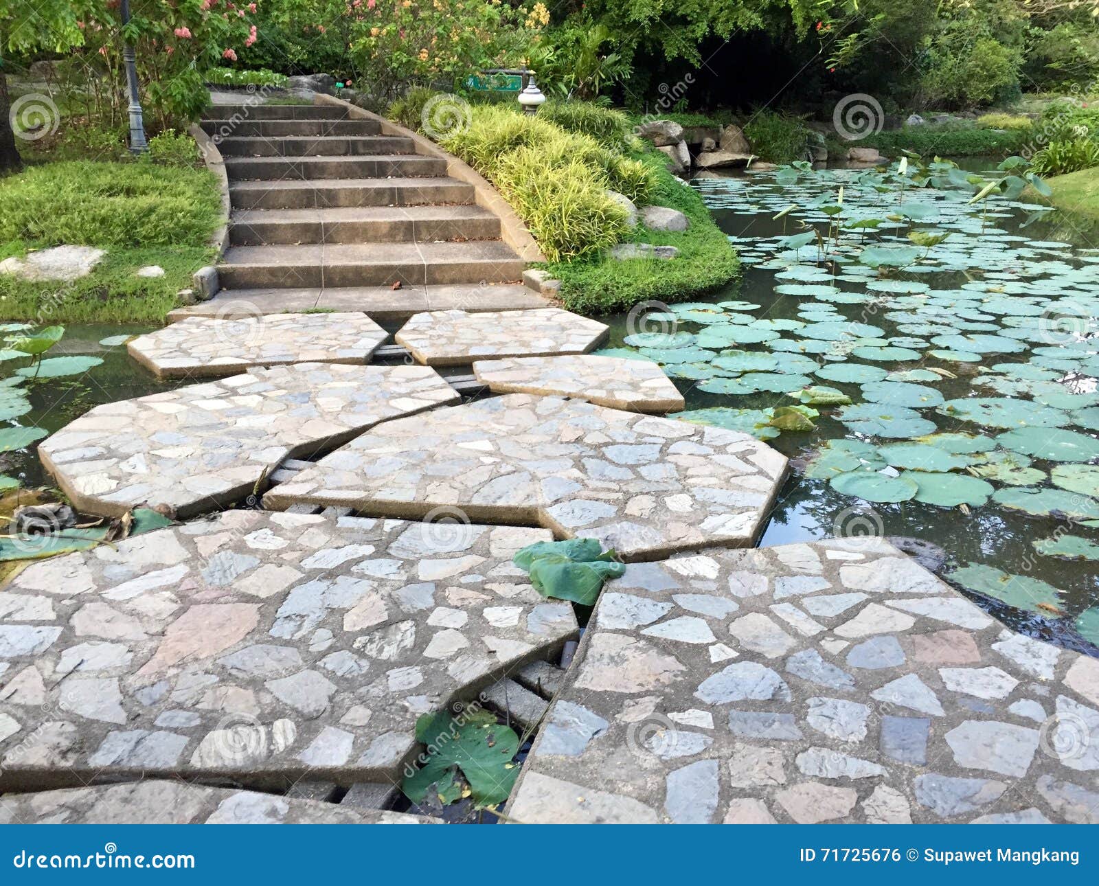 Rock Path stock photo. Image of path, park, stream, pathway - 71725676