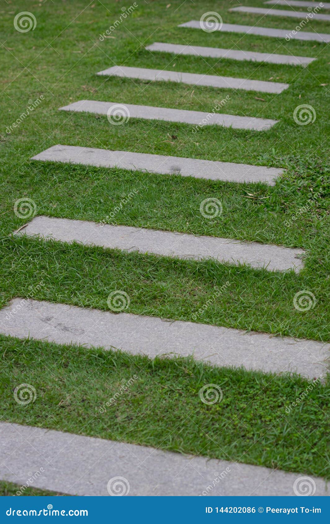 Rock Pathway on Green Grass Stock Photo - Image of environment ...