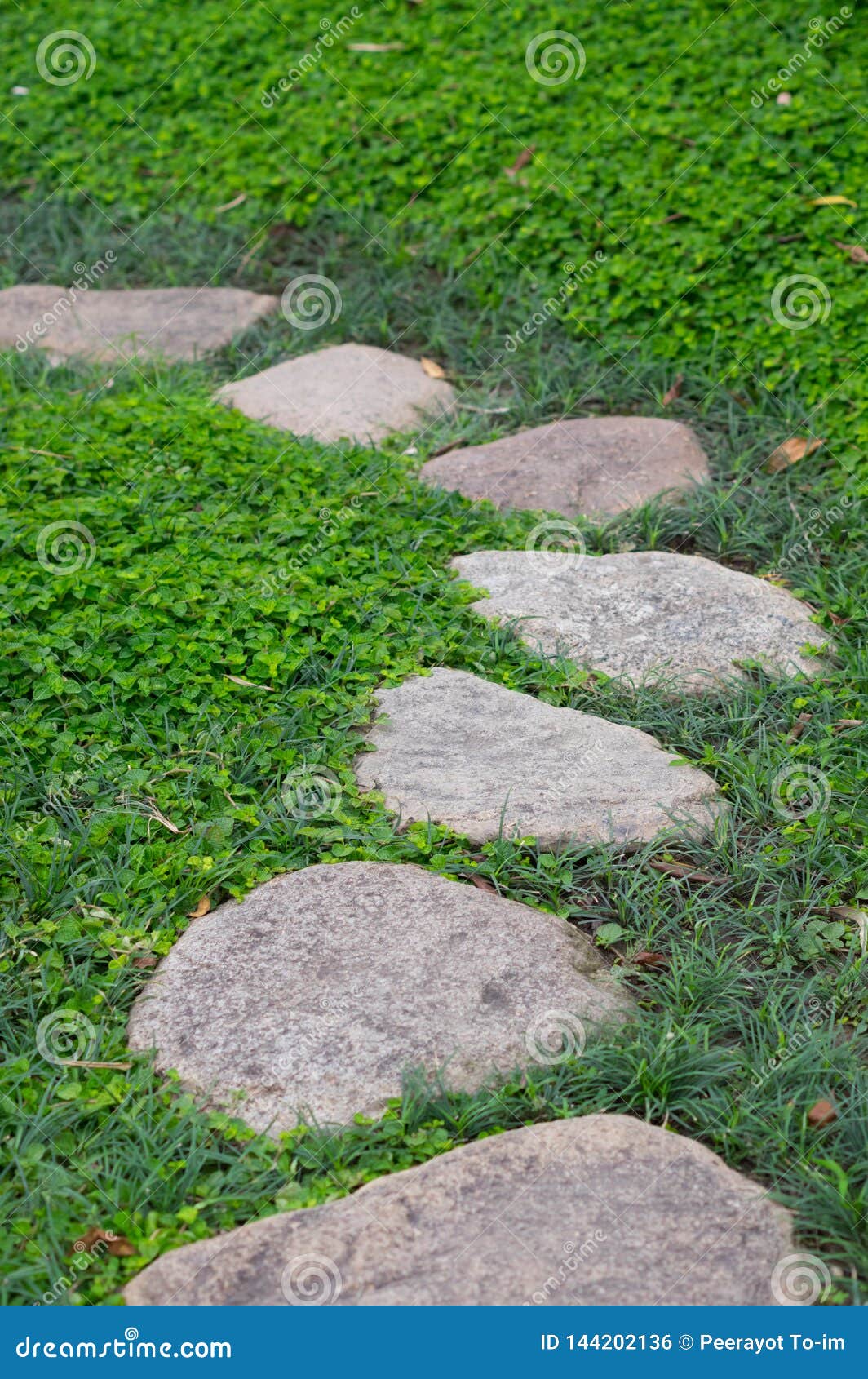 Rock Pathway Stock Image | CartoonDealer.com #95367133