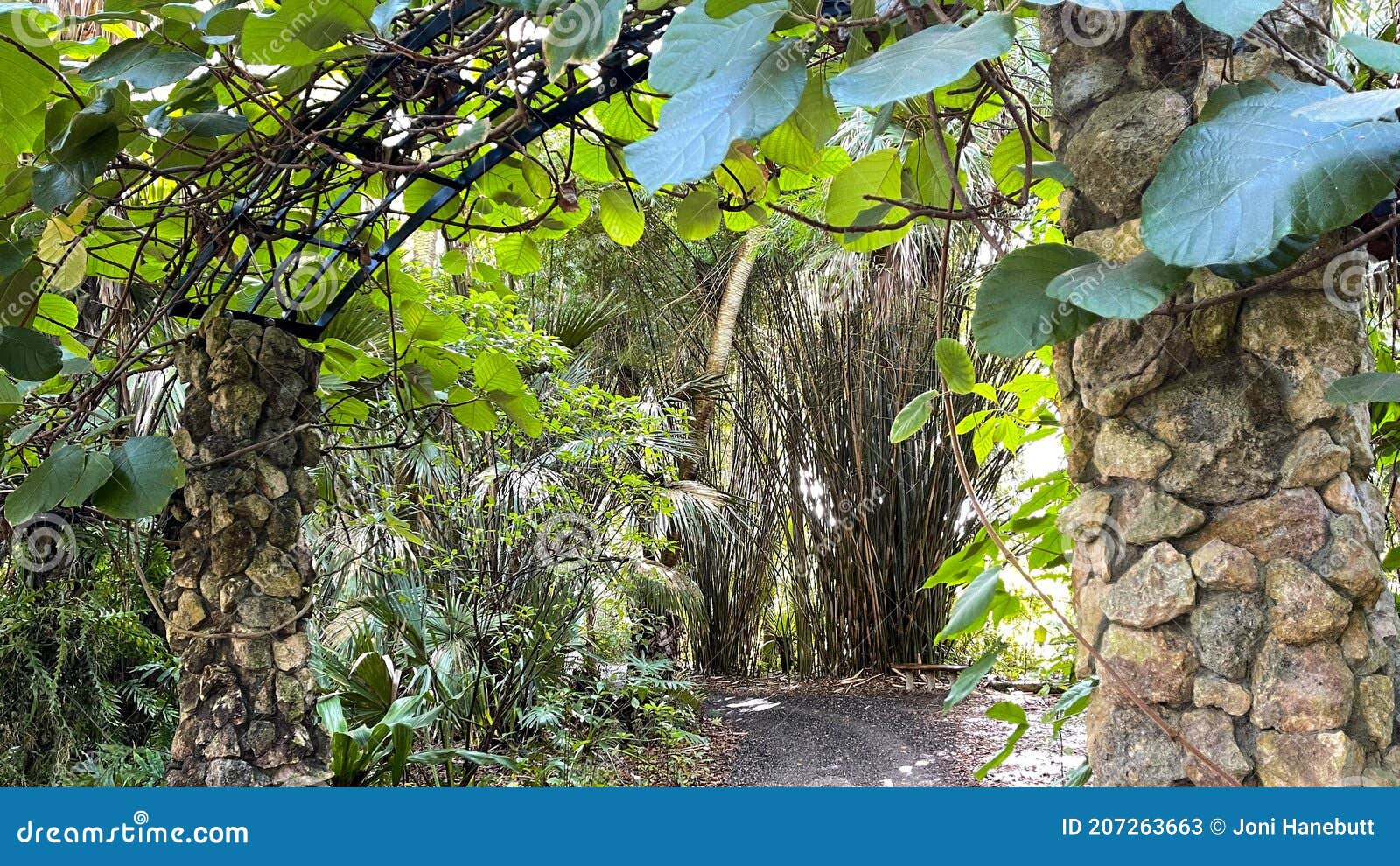 A Rock Pathway through a Stone and Metal Trellis Stock Image - Image of ...