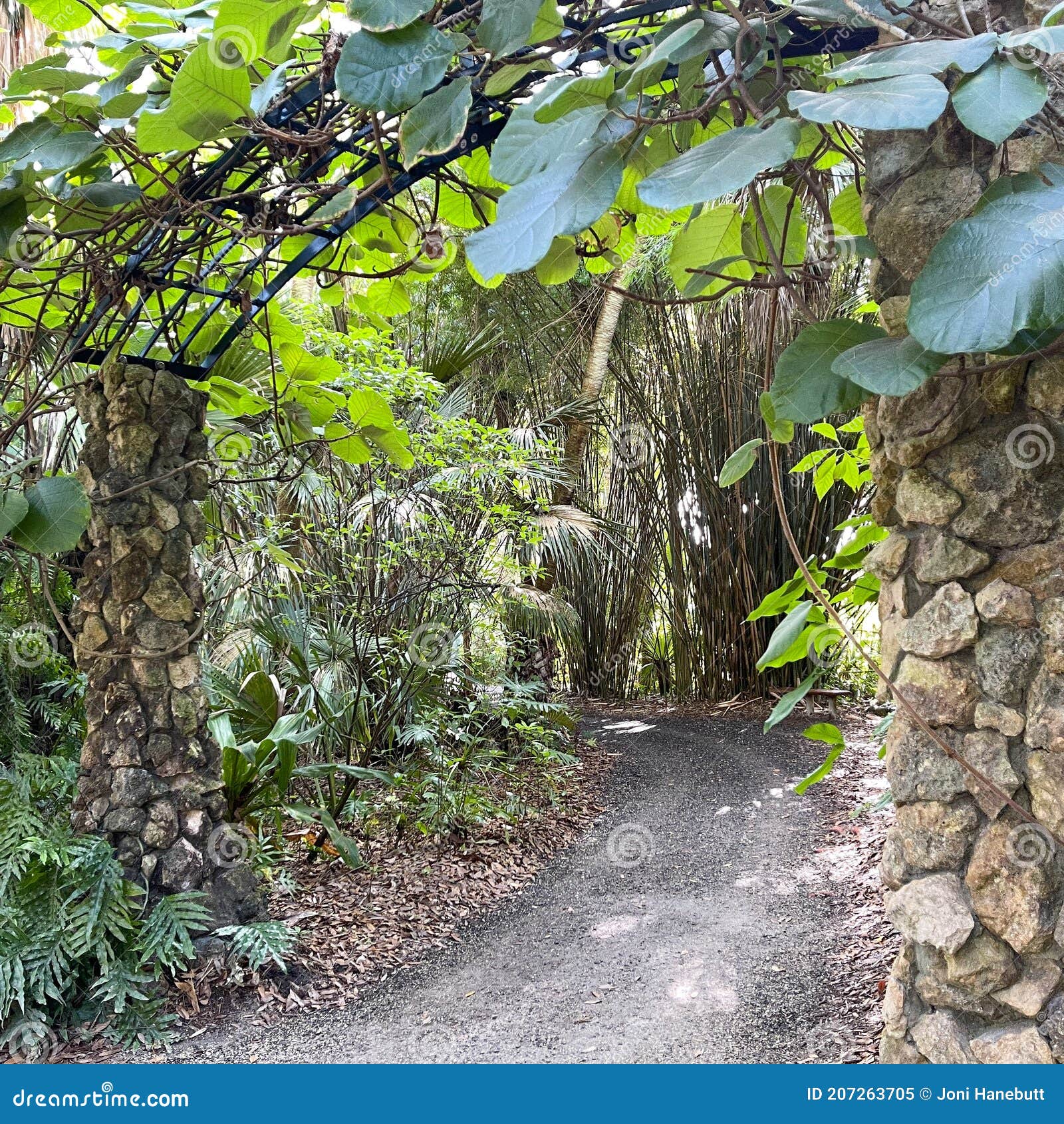 A Rock Pathway through a Stone and Metal Trellis Stock Image - Image of ...