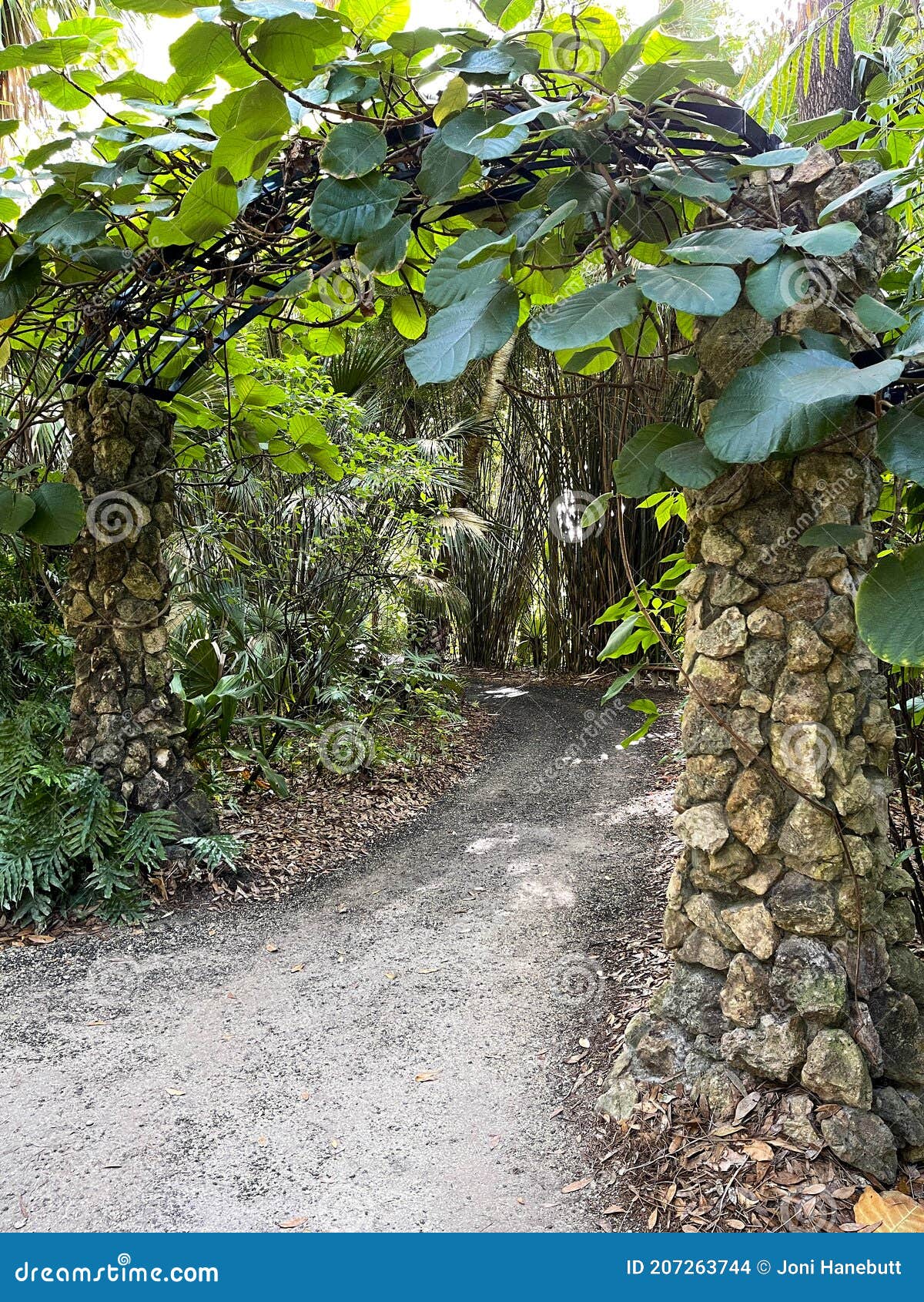A Rock Pathway through a Stone and Metal Trellis Stock Photo - Image of ...