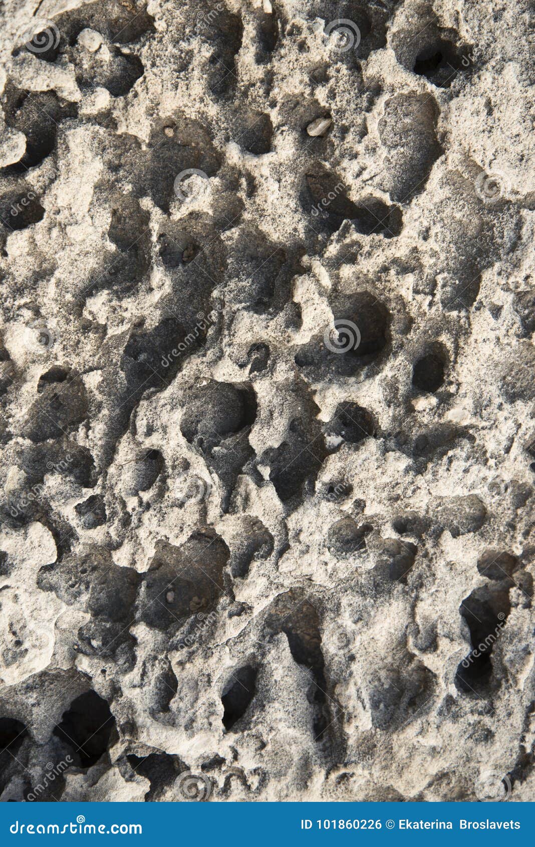 Rock pattern background stock photo. Image of fossil - 101860226