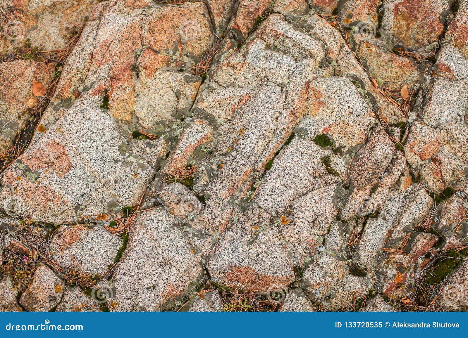 Rock Pattern Texture Background. Big Stones in Forest Top View Stock ...