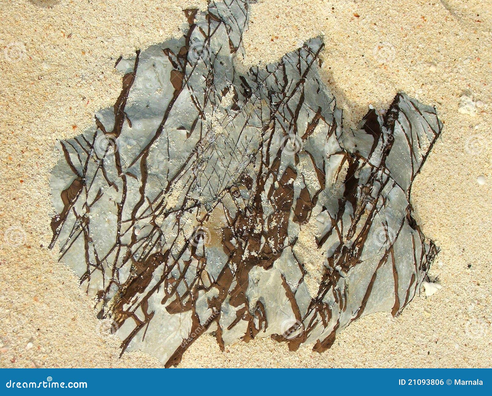 Rock patterns stock photo. Image of abstract, patterns - 21093806