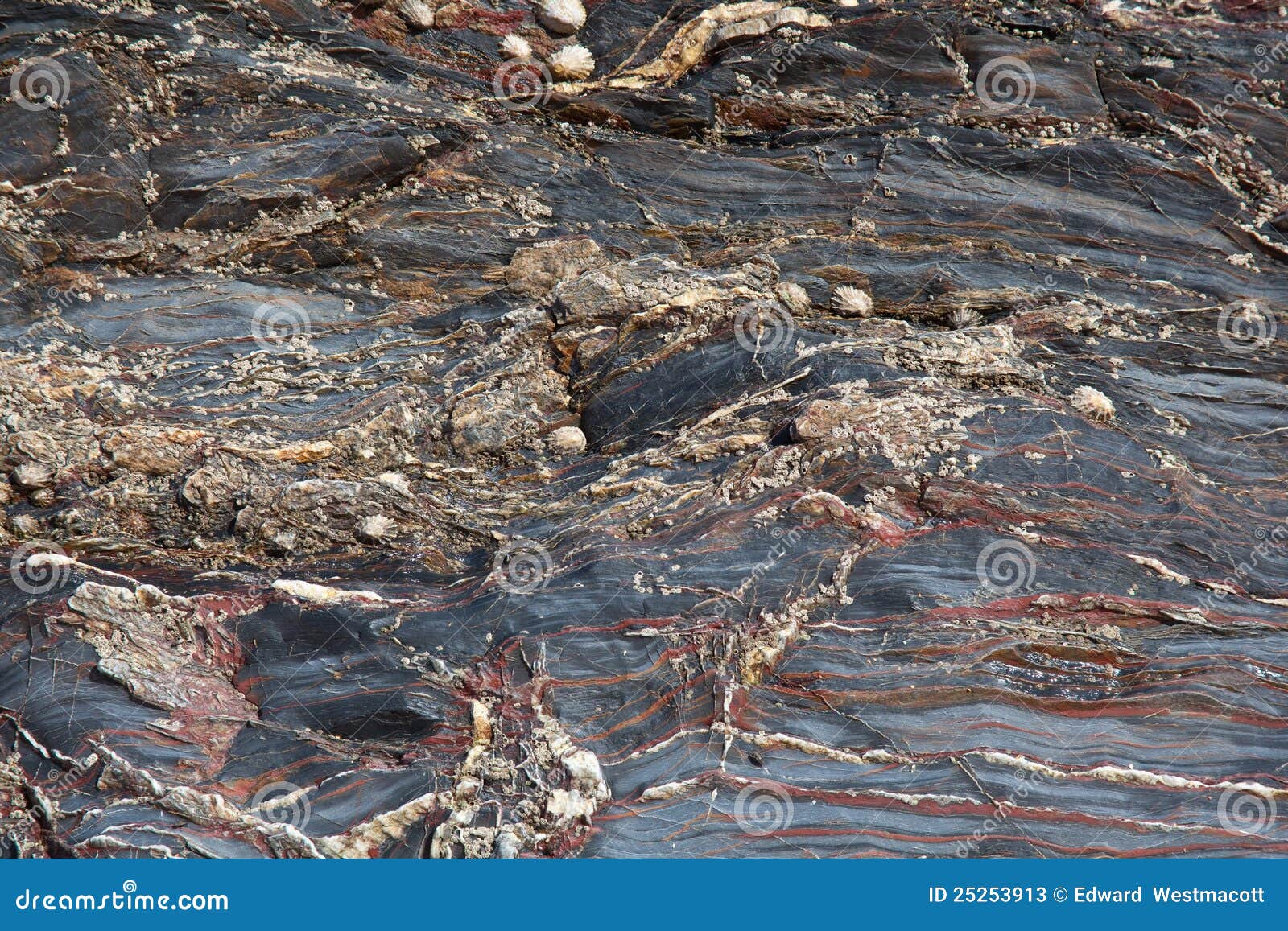 Rock patterns stock image. Image of patterns, volcanic - 25253913