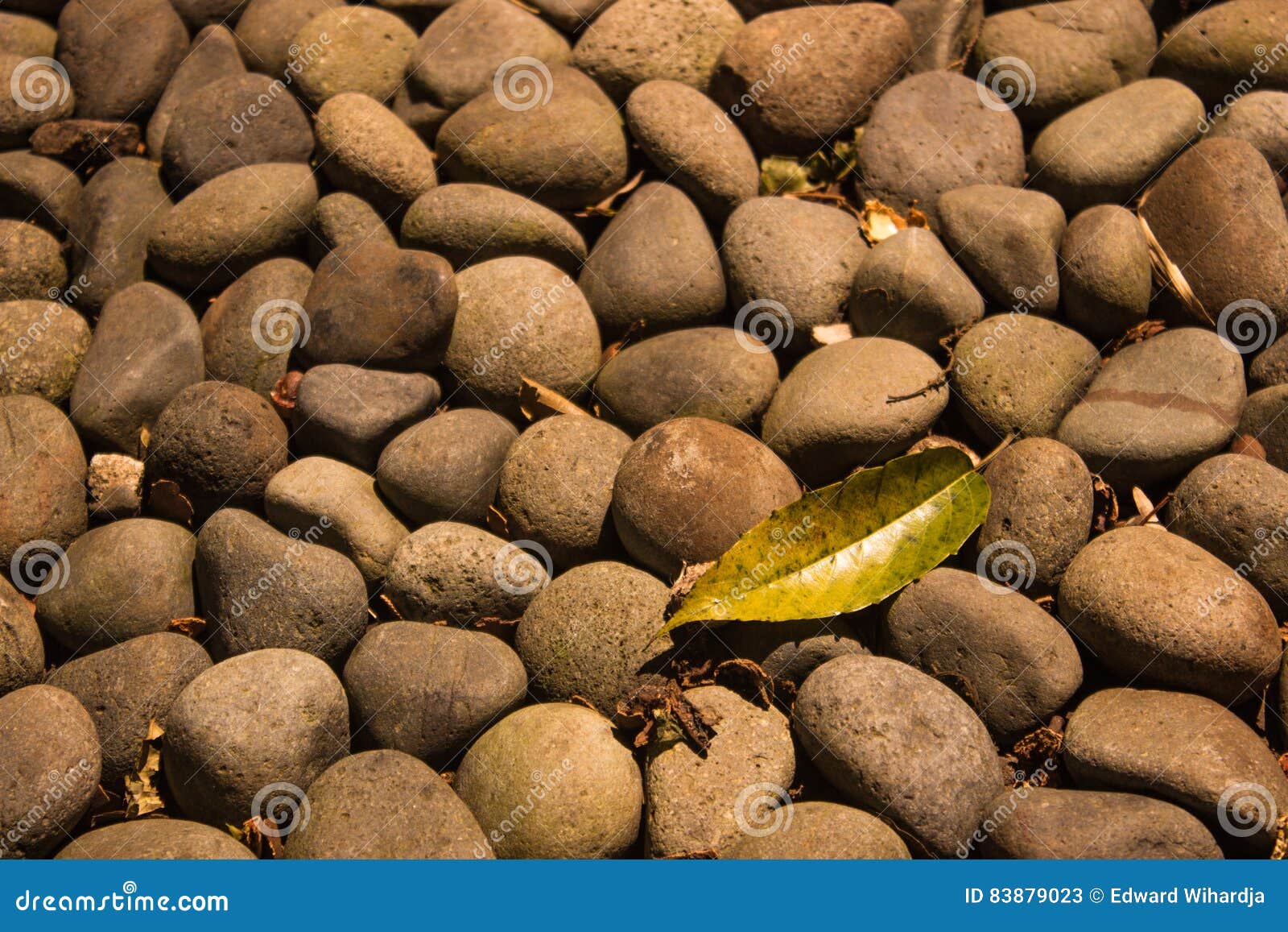 Rock and Pebbles stock image. Image of pebble, geology - 83879023