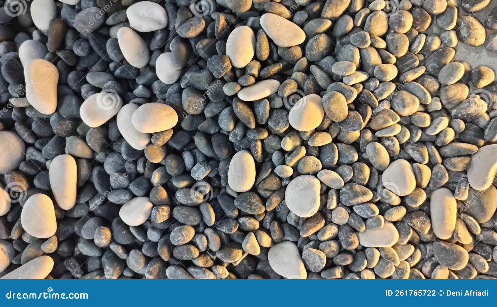 Rock peeble light stones stock photo. Image of asphalt - 261765722