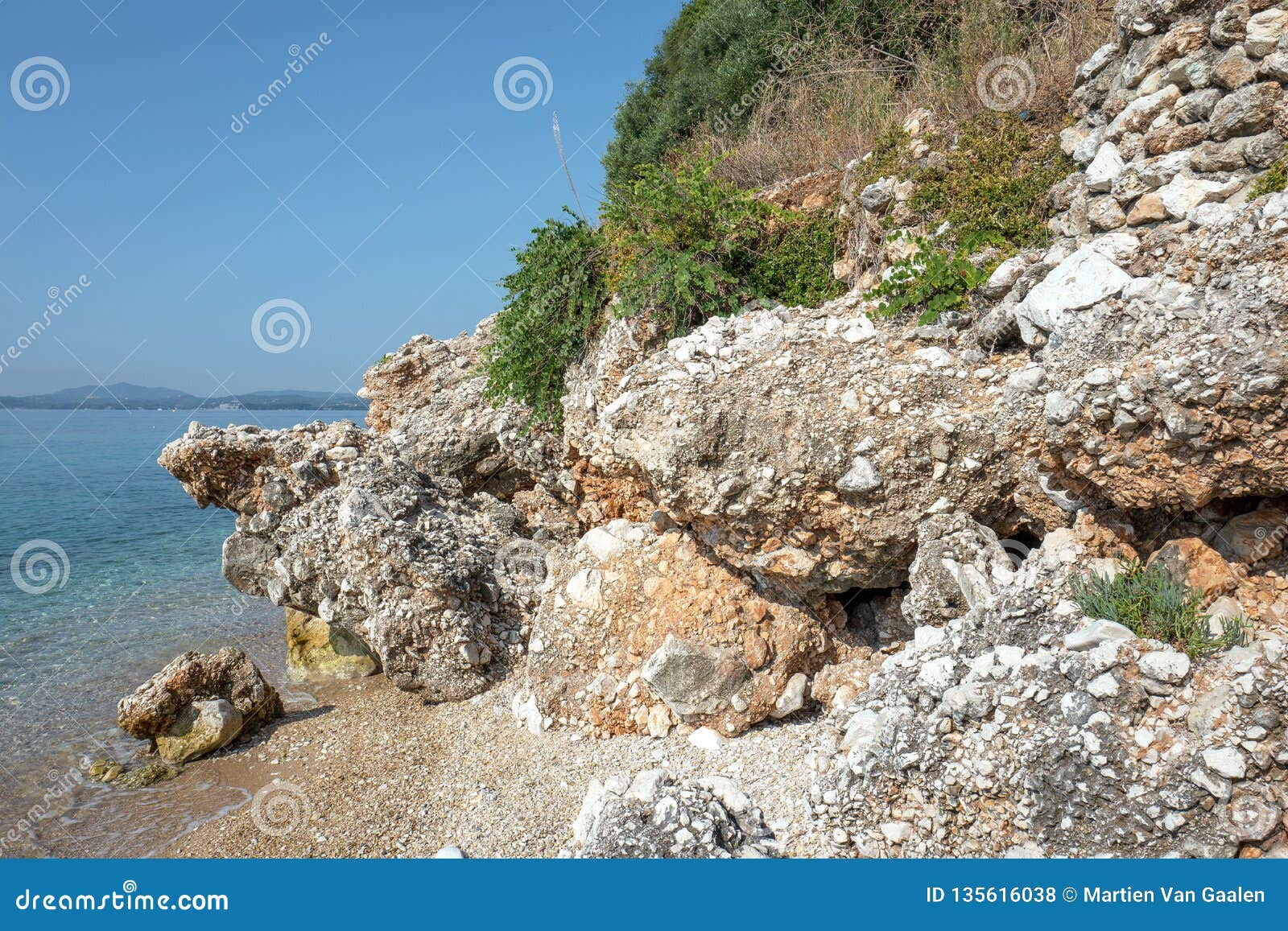 Rock Plants in Glyfa on Corfu, Greece. Stock Photo - Image of foliage ...