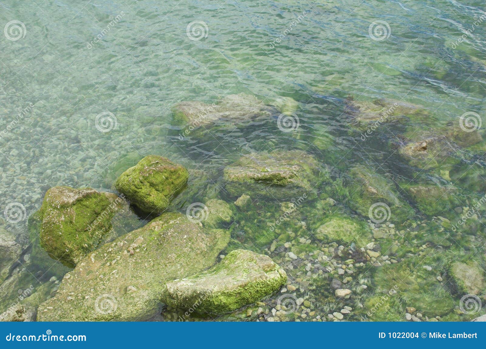 Rock-pool stock photo. Image of water, glistening, gravel - 1022004