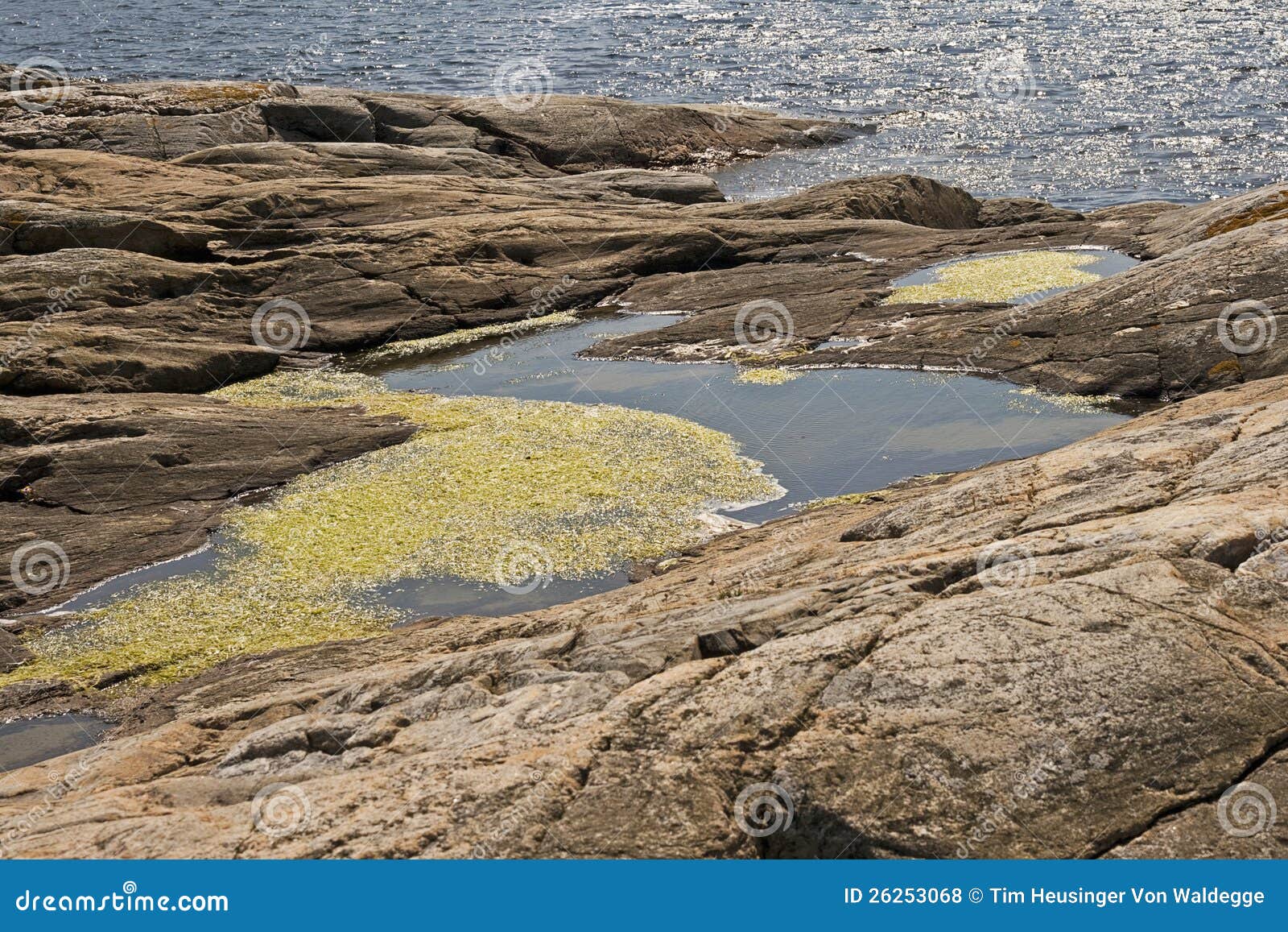 Rock pool stock photo. Image of wind, rocks, seawater - 26253068