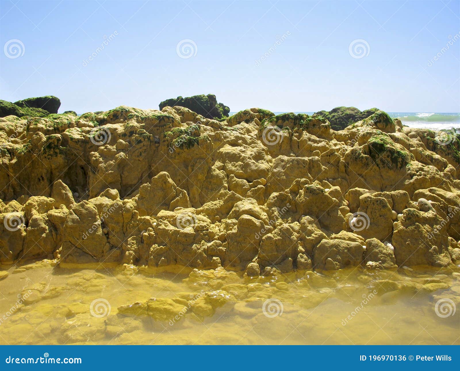 Rock pool at the beach stock photo. Image of texture - 196970136