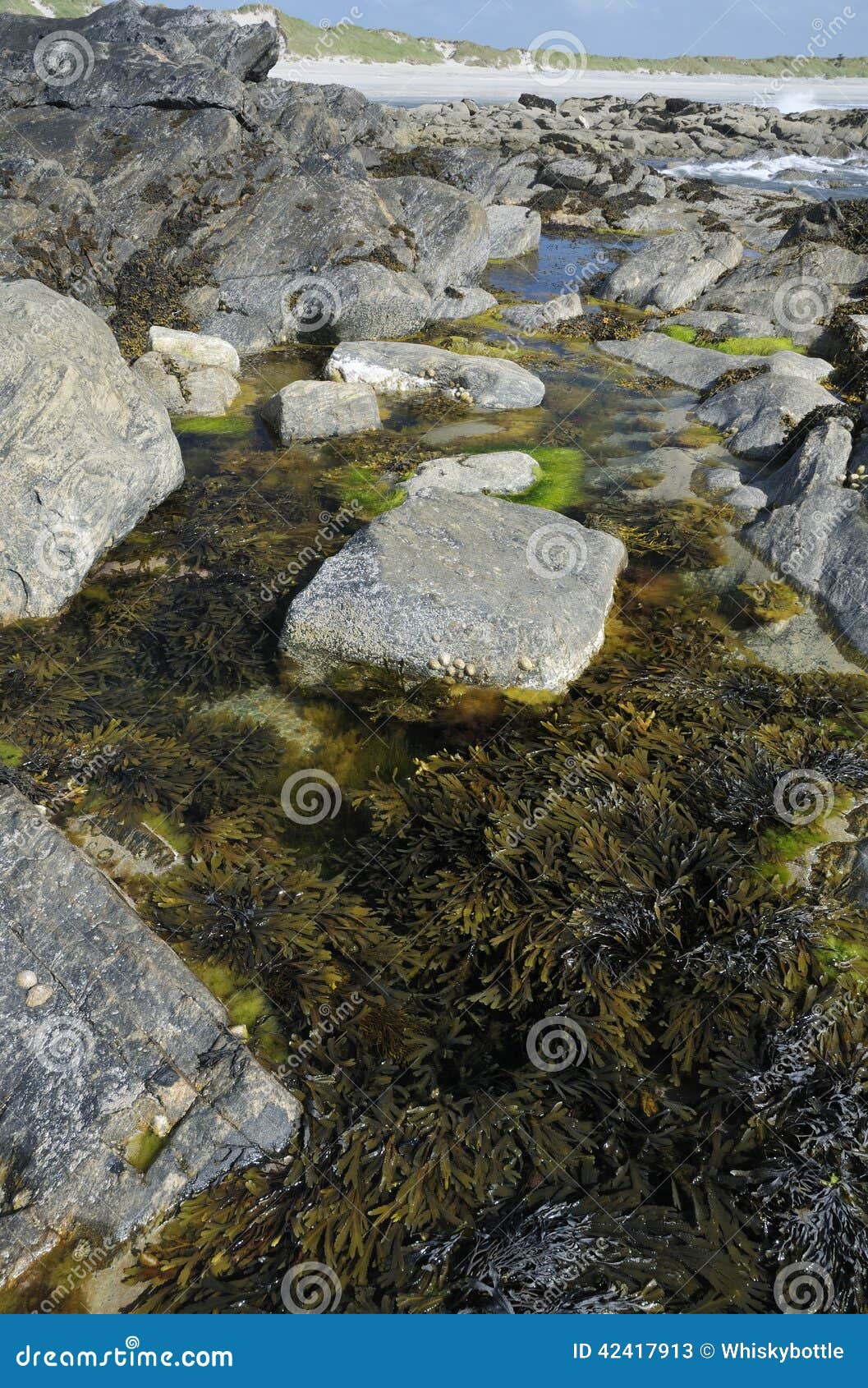 Rock Pool stock image. Image of tide, coast, island, nature - 42417913
