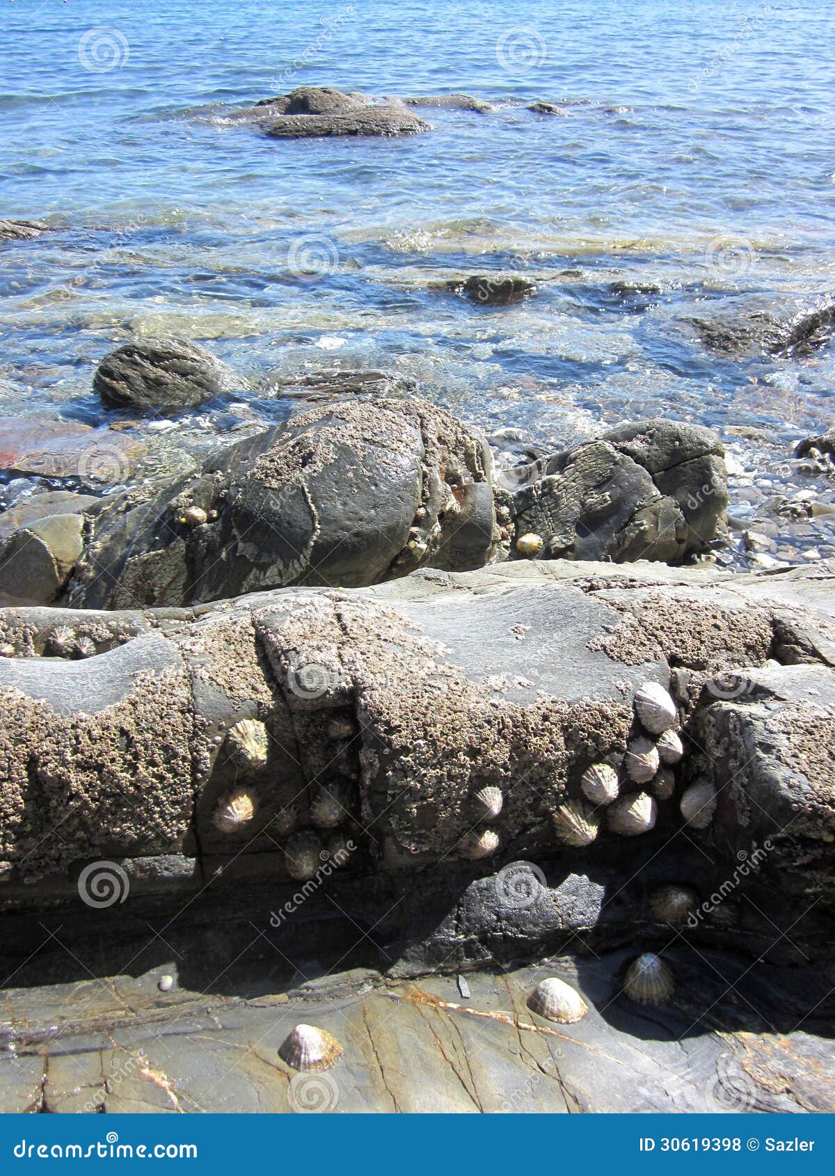 Rock Pool stock photo. Image of shore, marine, tidal - 30619398