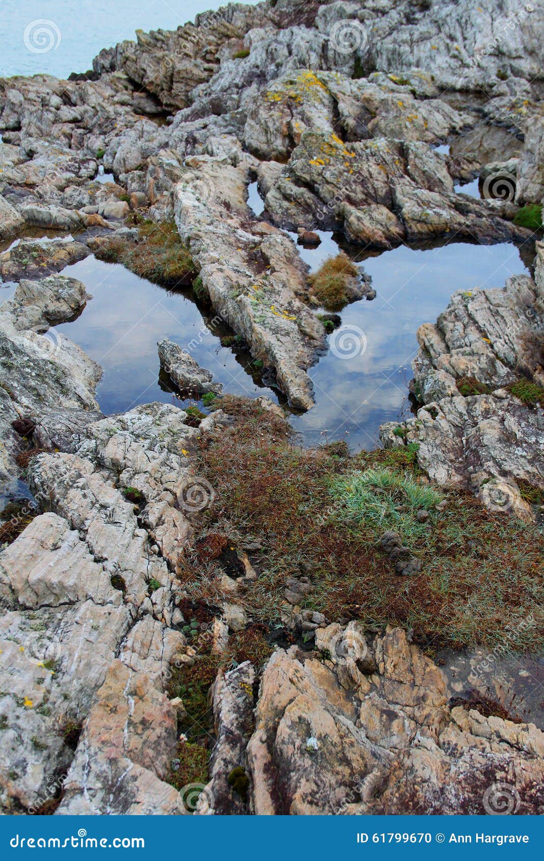 Rock pool with reflections stock photo. Image of shore - 61799670