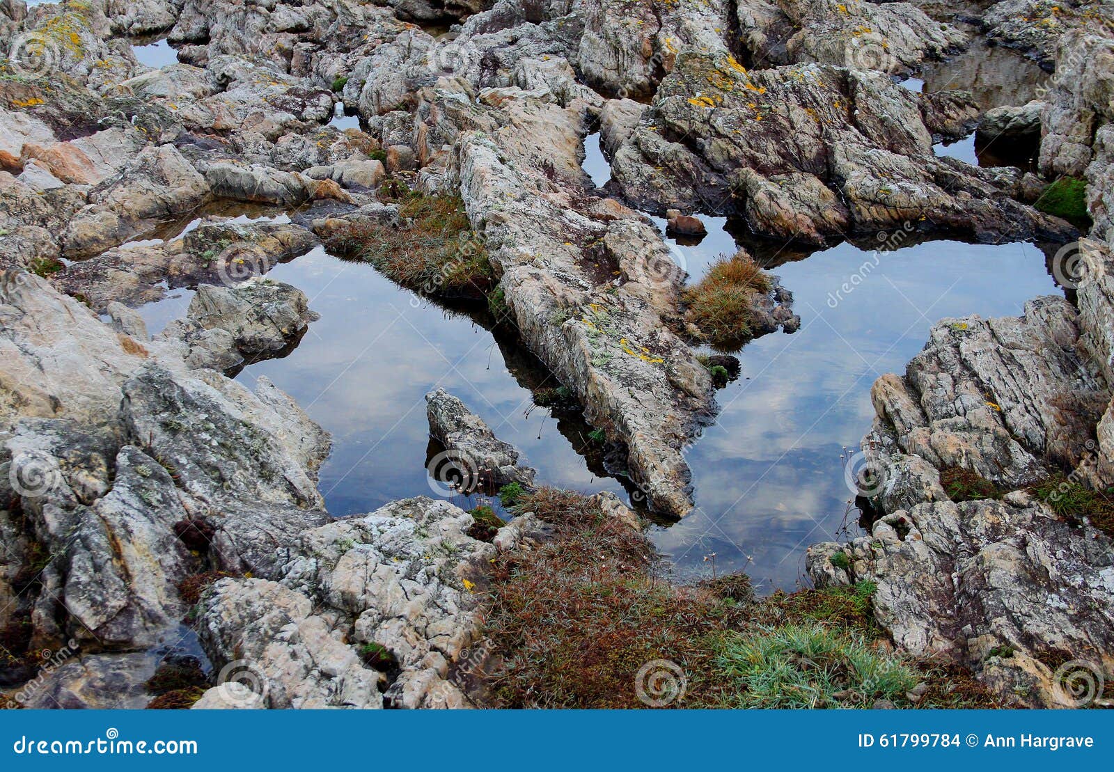 Rock pool with reflections stock photo. Image of rocks - 61799784