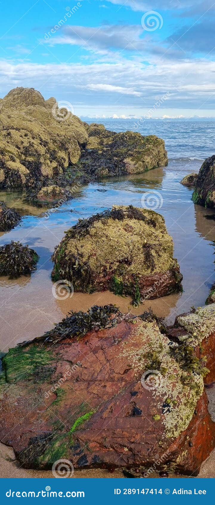Rock pool Scotland stock photo. Image of nature, scotland - 289147414