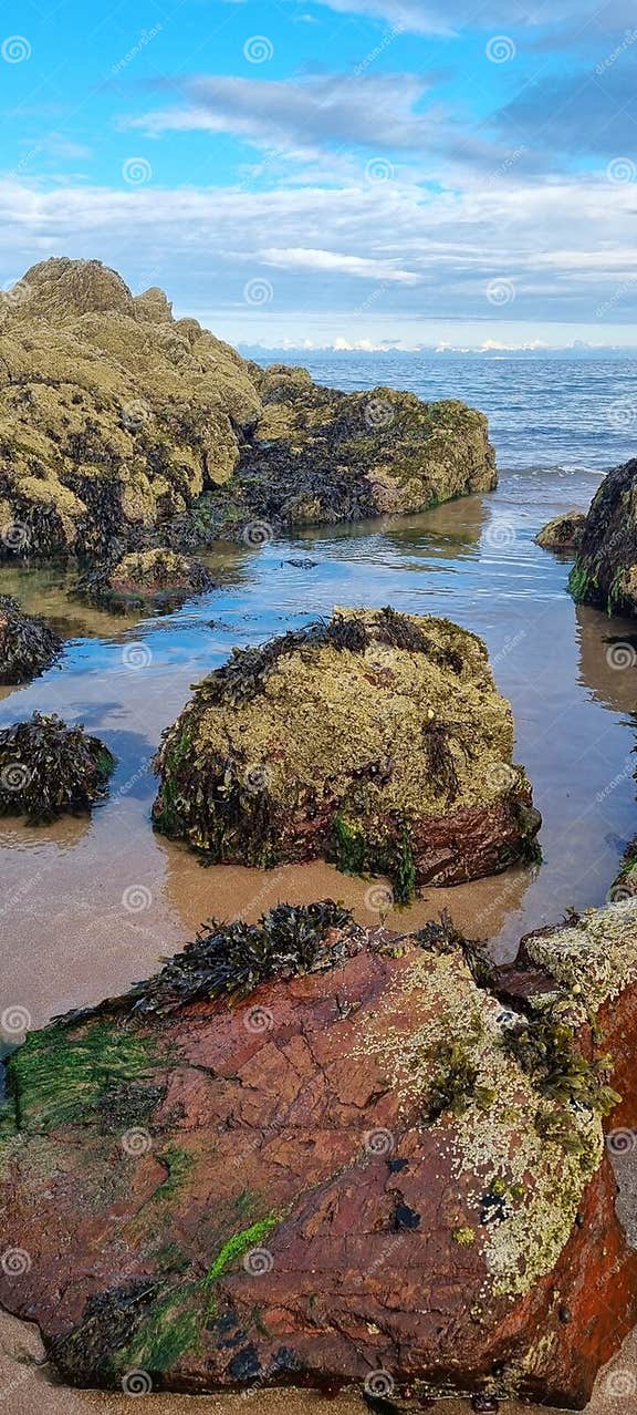 Rock pool Scotland stock photo. Image of nature, scotland - 289147414