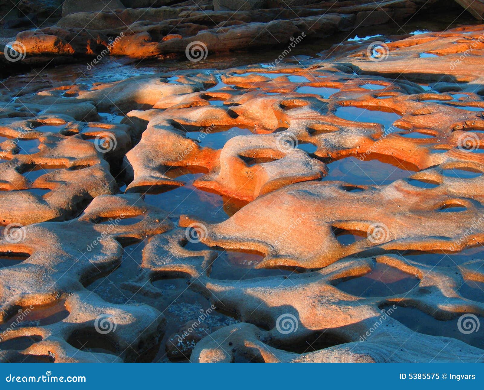 Rock pools stock image. Image of rock, marine, blue, paddles - 5385575