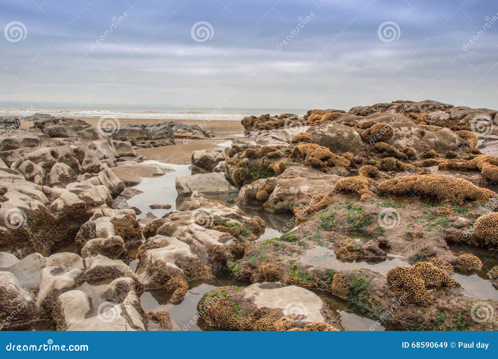 Rock pools stock image. Image of life, side, rock, waves - 68590649