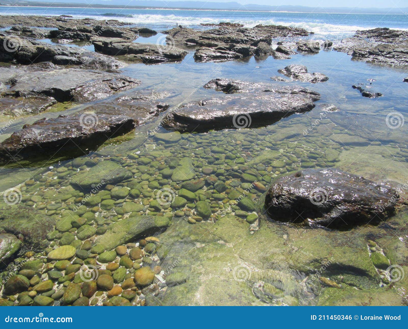 ROCK POOLS stock photo. Image of wilderness, seaside - 211450346