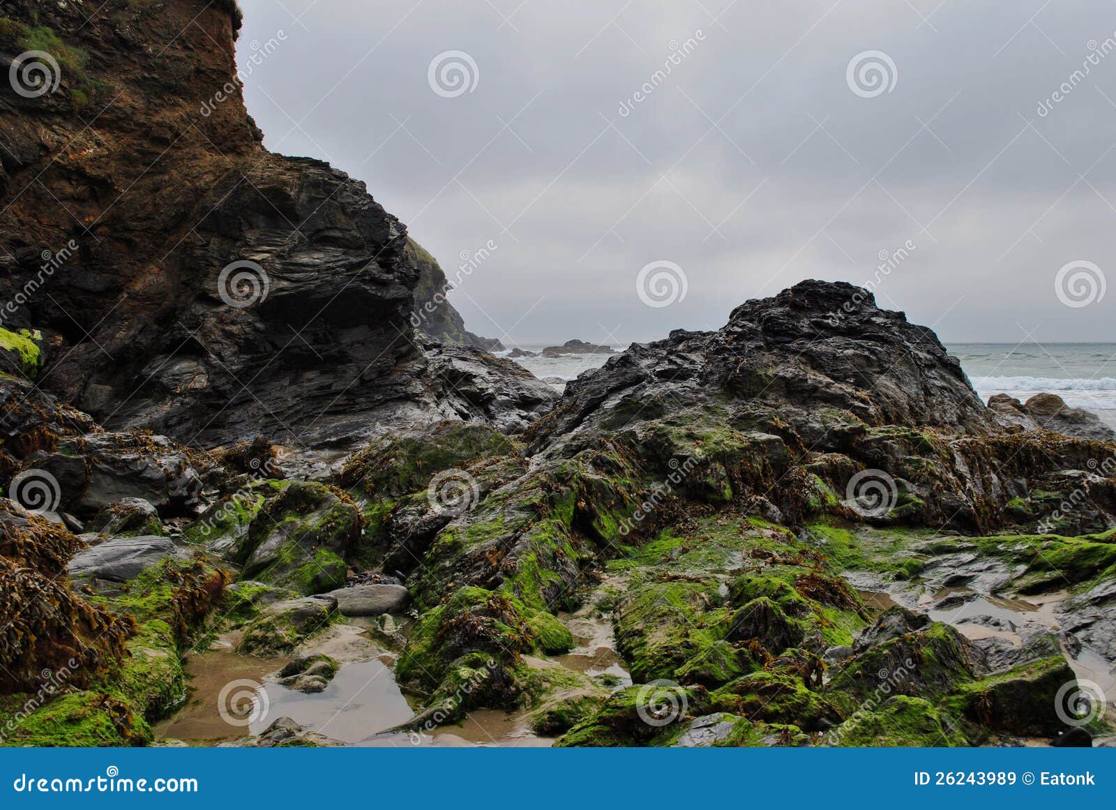 Rock pools and seaweed stock image. Image of algae, nature - 26243989