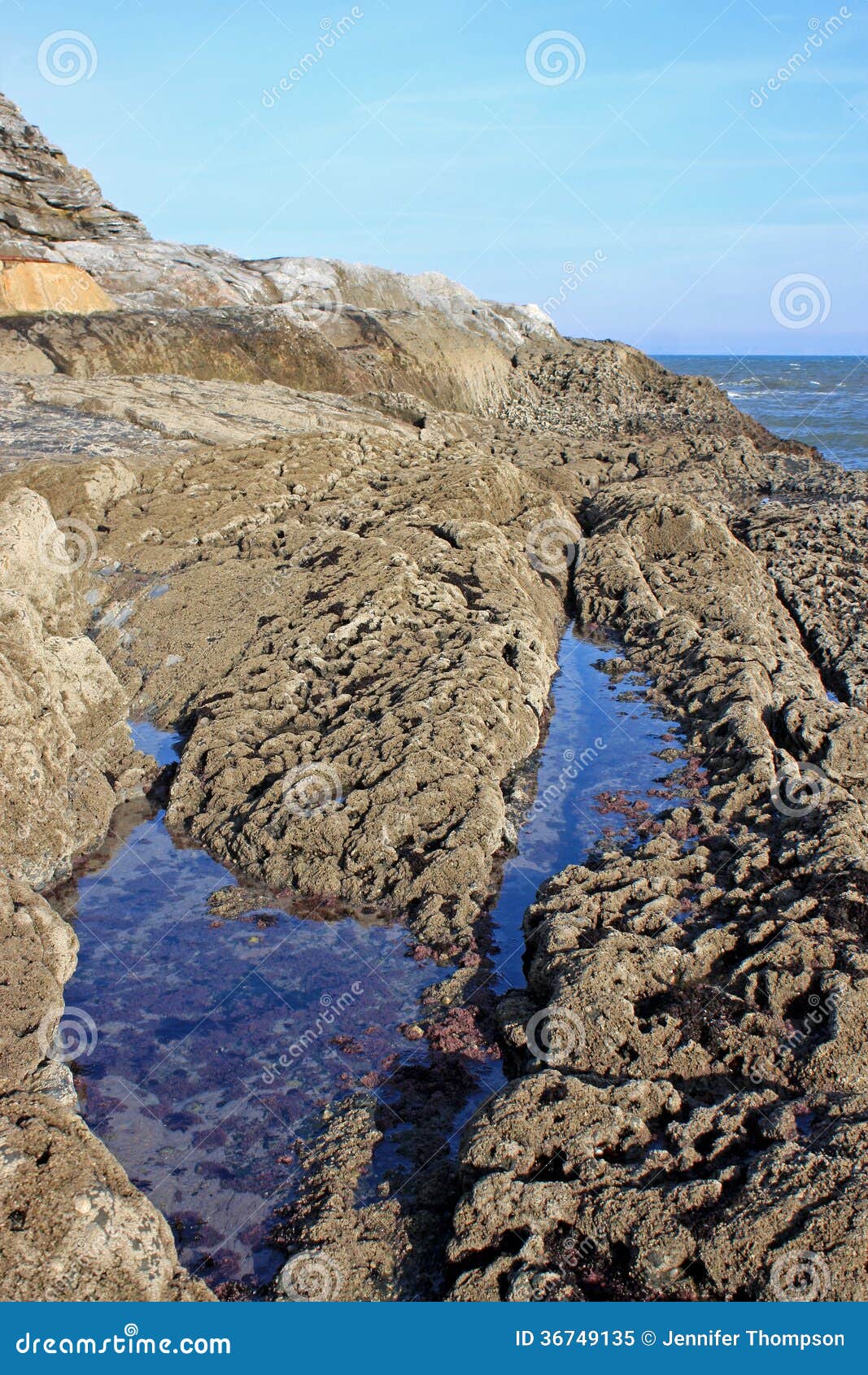 Rock pools stock image. Image of shingle, meadfoot, fault - 36749135