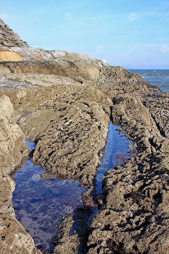 Rock pools stock image. Image of shingle, meadfoot, fault - 36749135