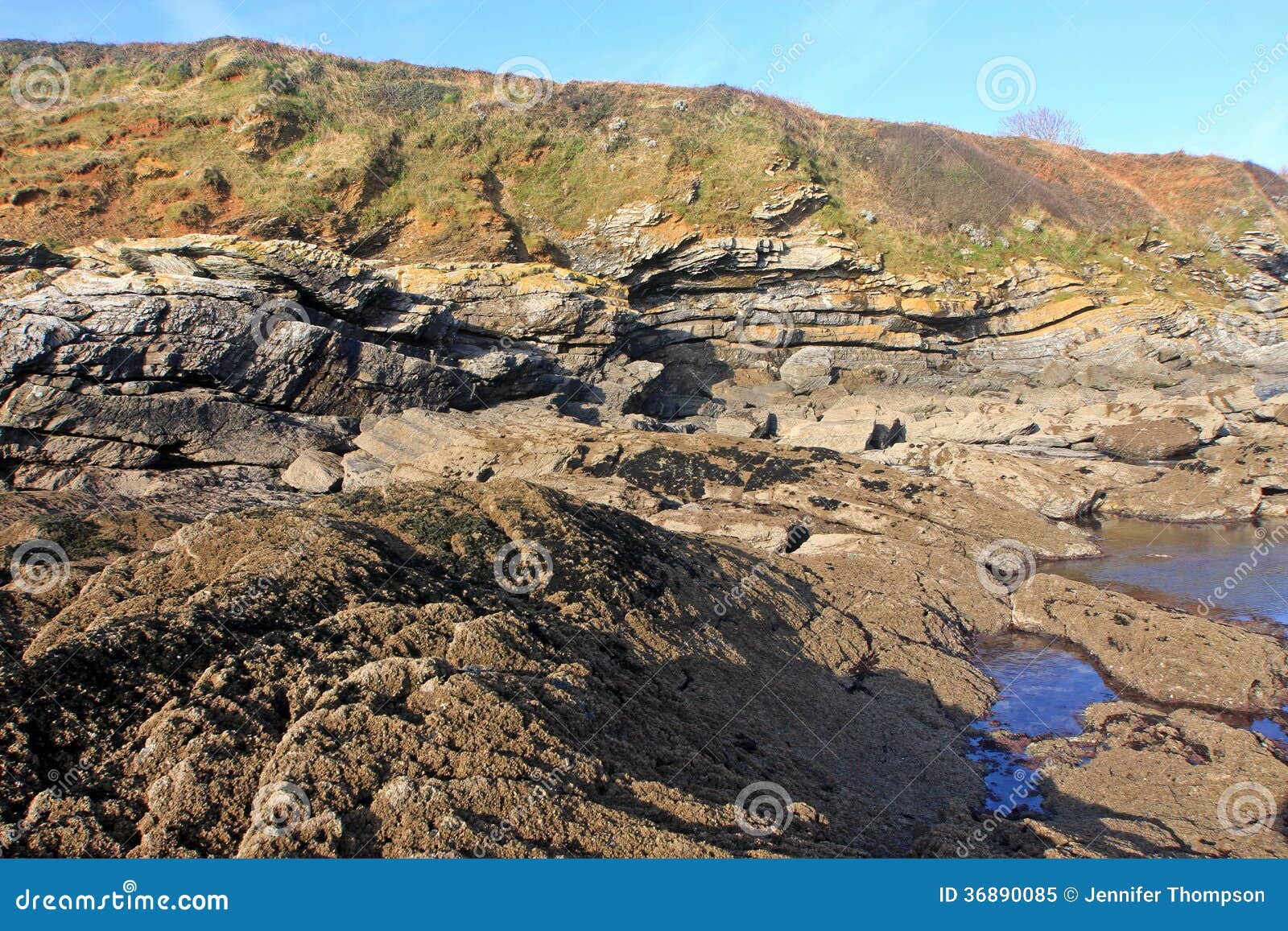 Rock pools stock image. Image of weather, torbay, beach - 36890085