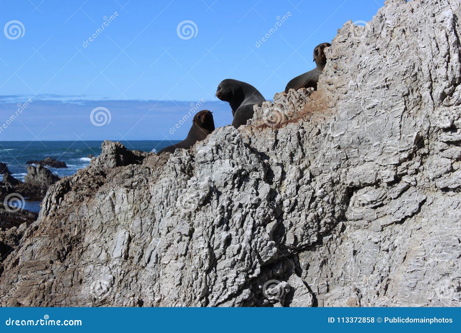 Rock, Promontory, Coast, Cliff Picture. Image: 113372858