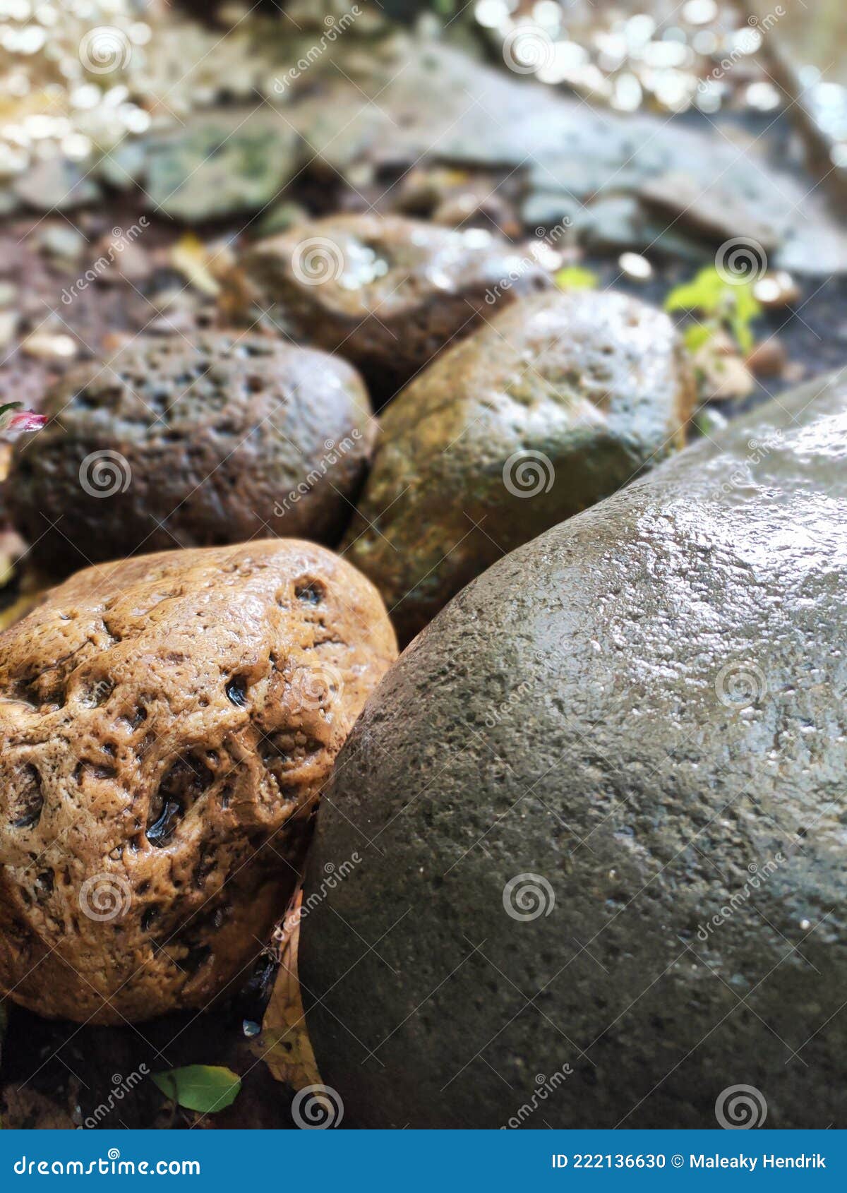 Rock after the rain stock photo. Image of rain, meal - 222136630