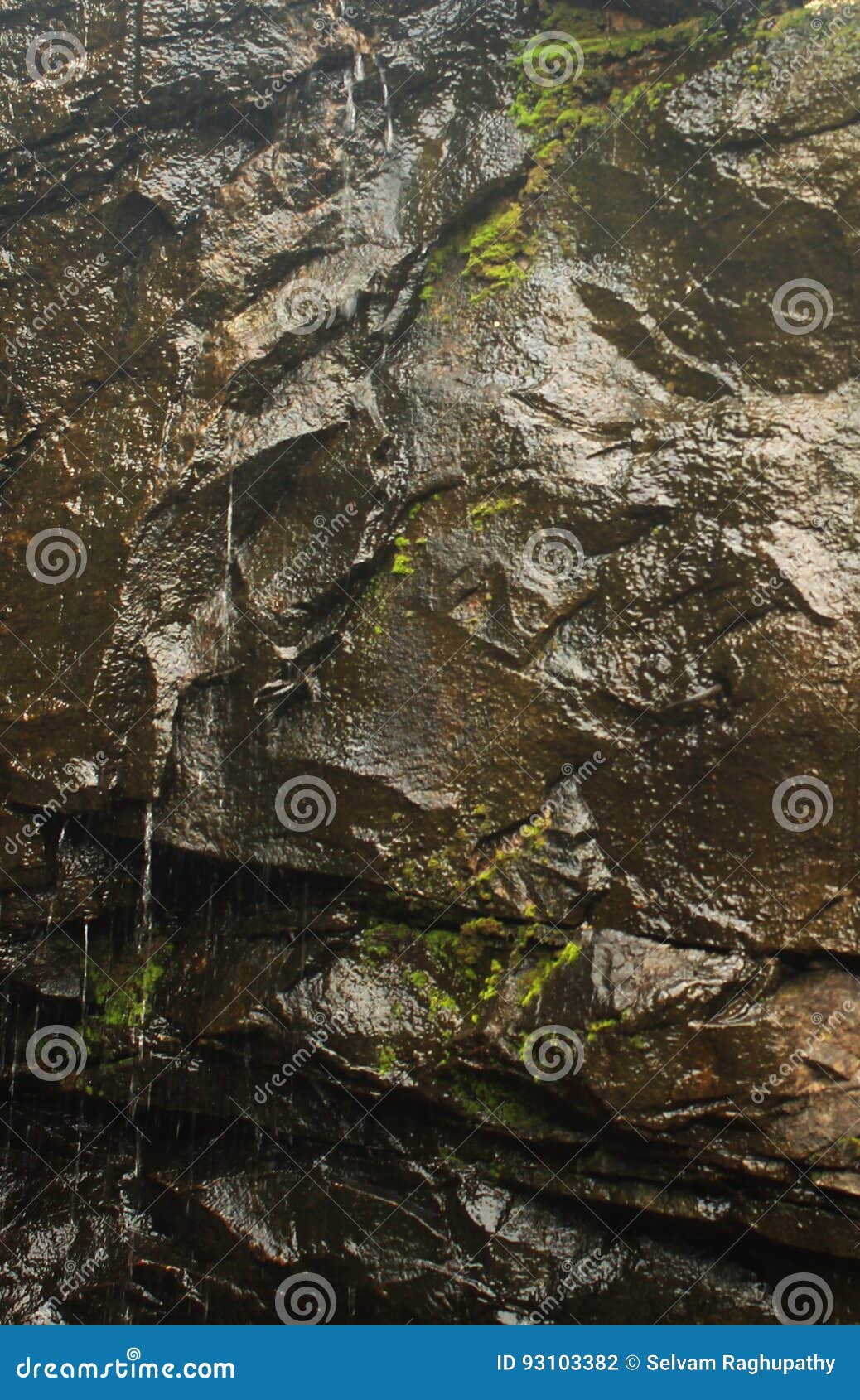 Rock with rain water stock photo. Image of nature, tropical - 93103382