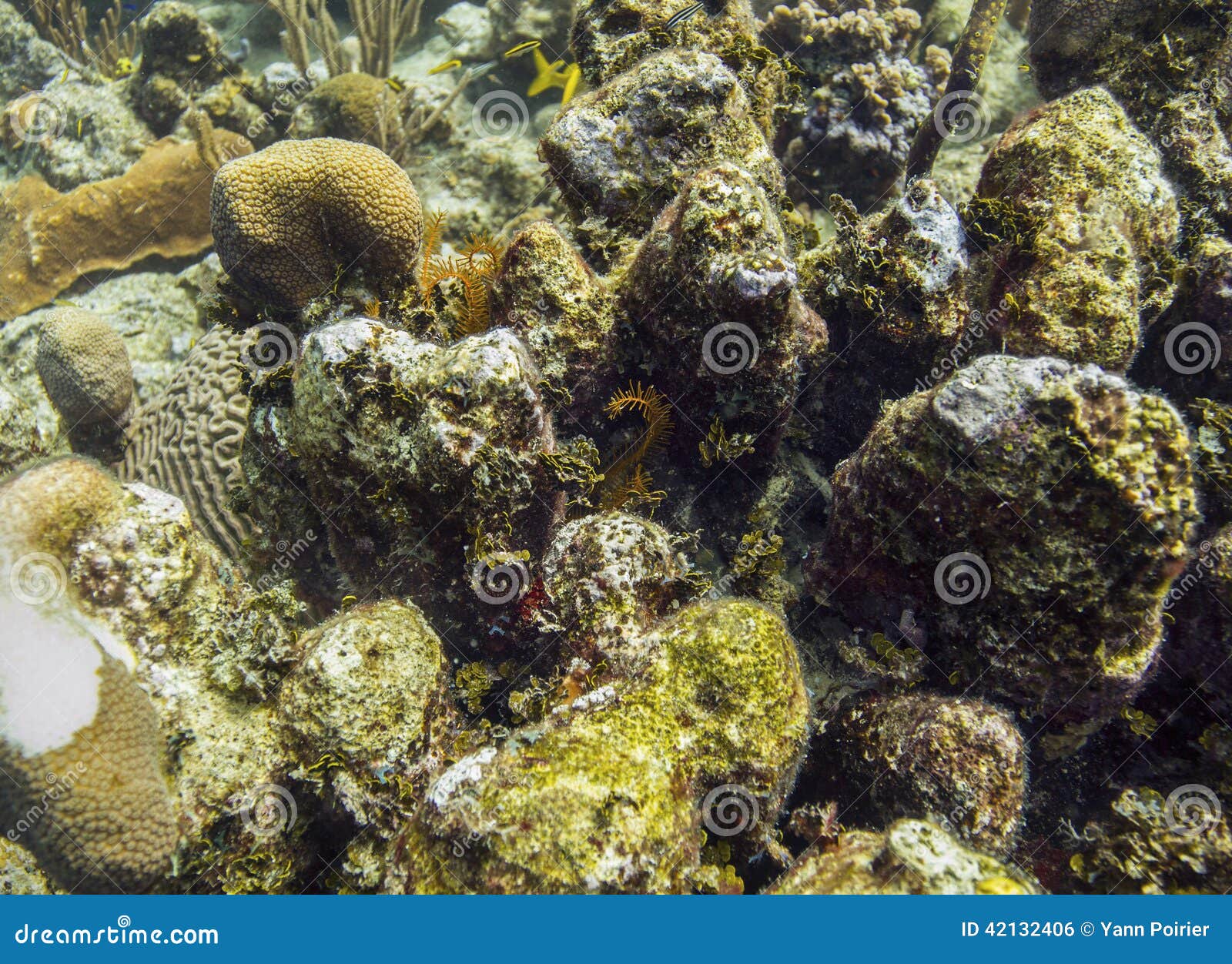 Rock reef stock photo. Image of diver, scenic, outdoor - 42132406
