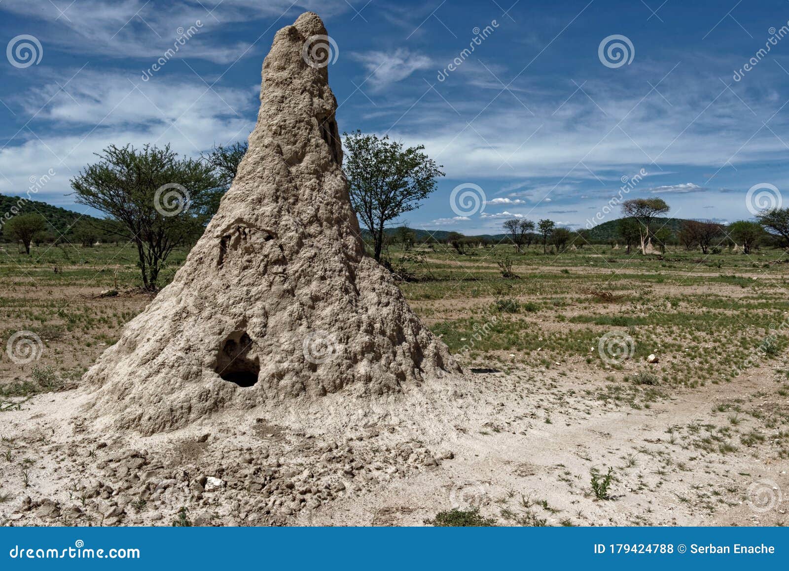 Rock rising in field stock photo. Image of rising, trees - 179424788