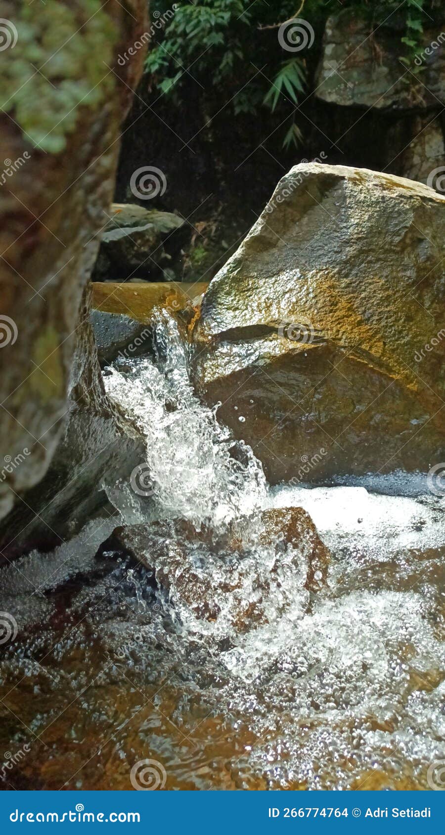 Rock and river jungle stock photo. Image of formation - 266774764