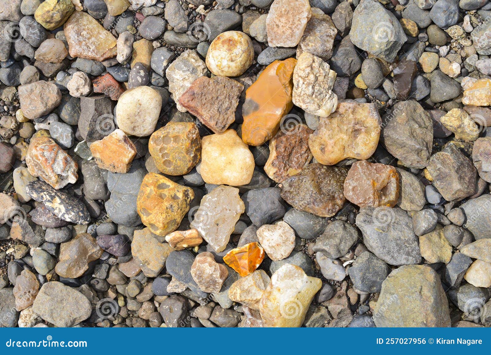 Rock, River stone stock photo. Image of coastline, black - 257027956