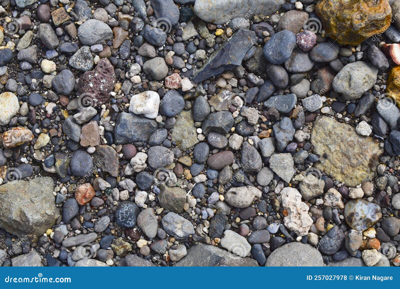 Rock, River stone stock photo. Image of small, macro - 257027978