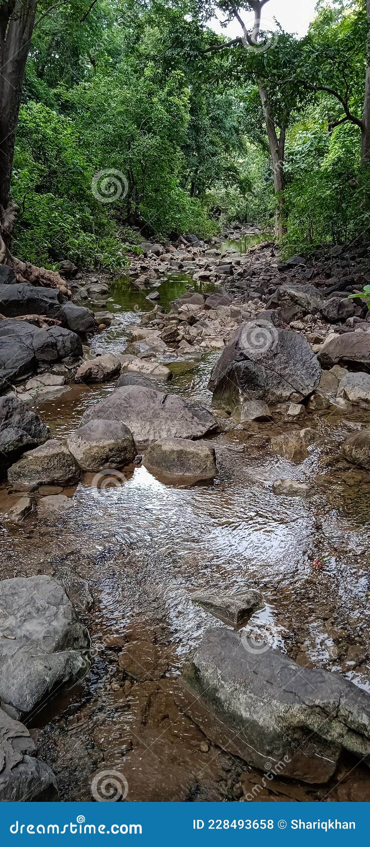Rock River Stream Background Which is Passing through the Gorge Stock ...