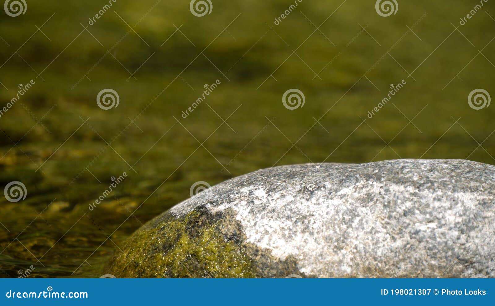 Rock in a river stream stock image. Image of foliage - 198021307