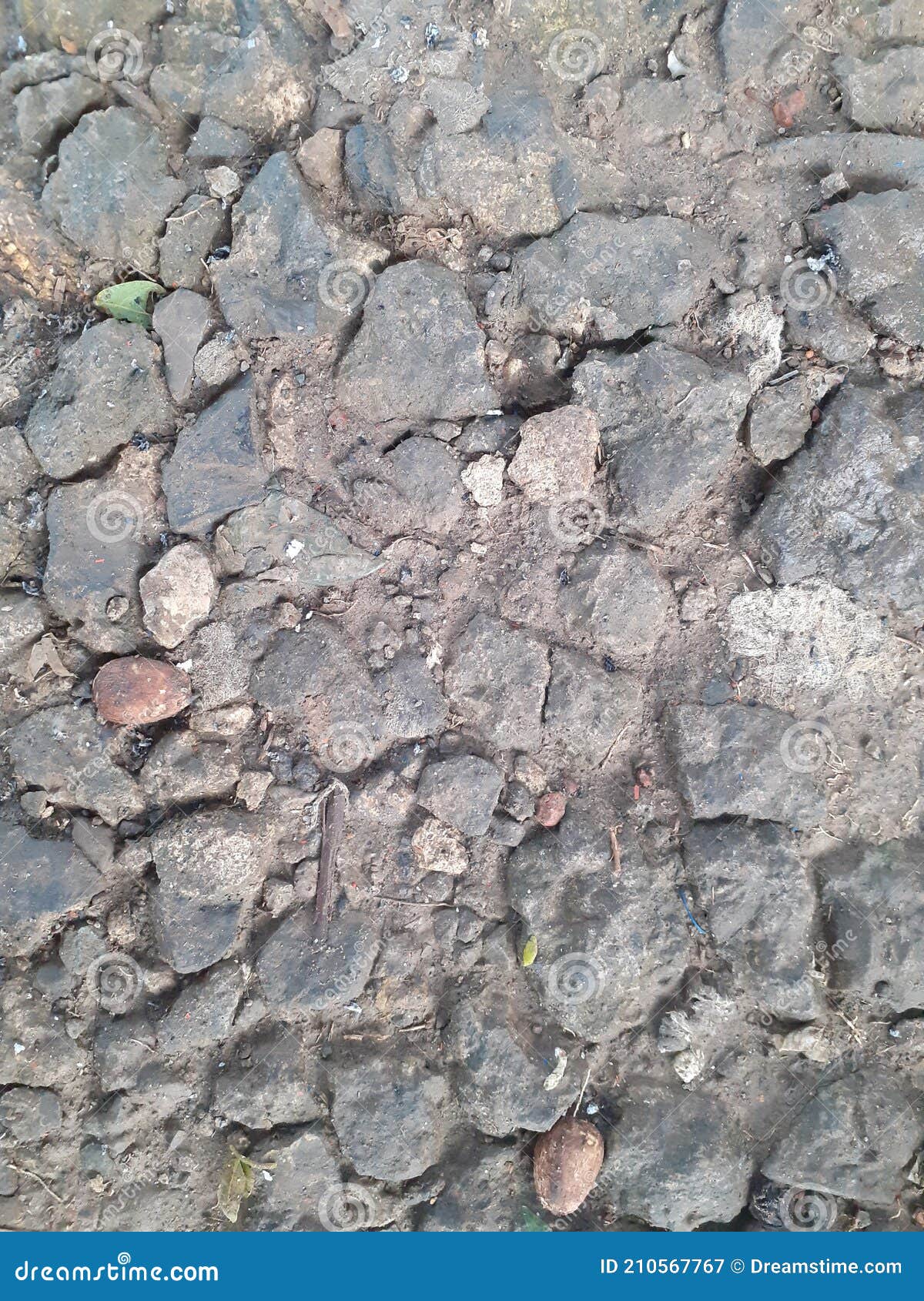 Rock on the road stock image. Image of floor, plant - 210567767