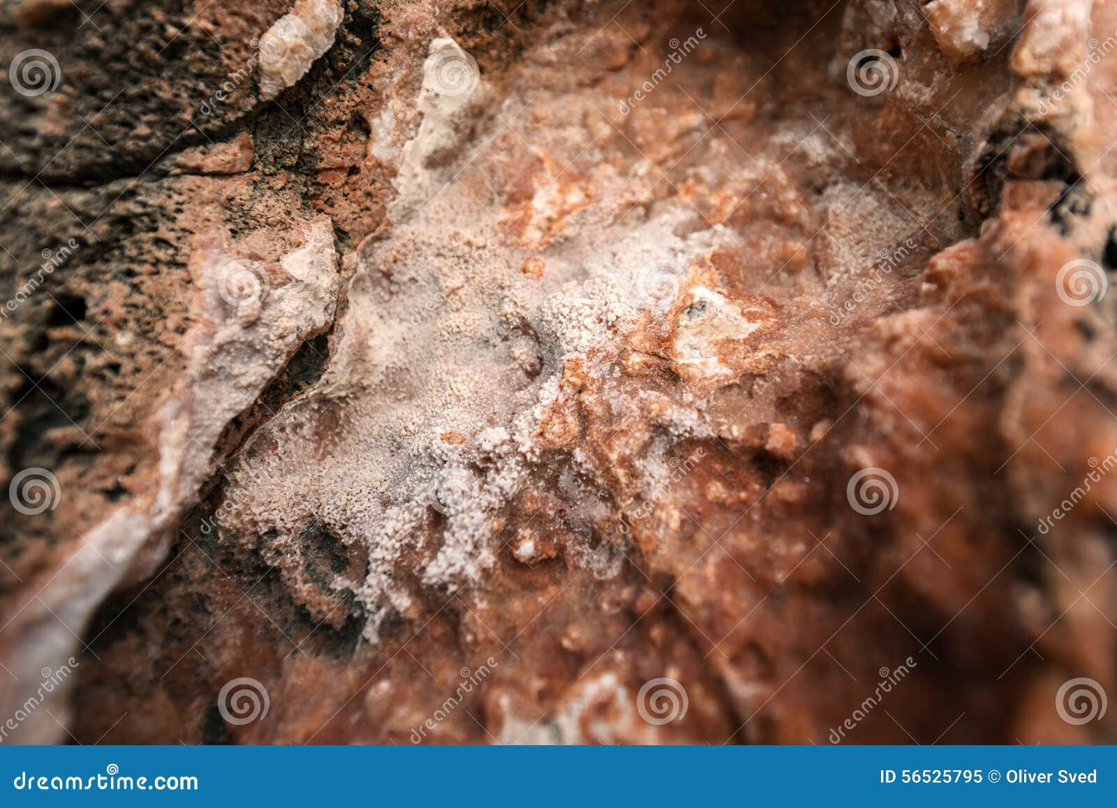 Rock salt on stones stock image. Image of surface, rock - 56525795