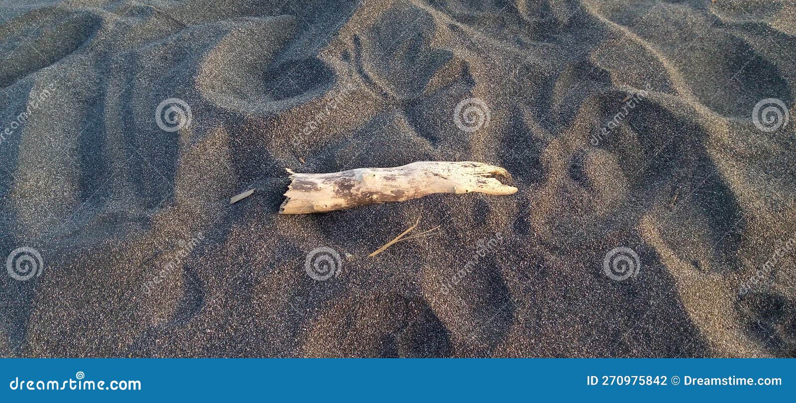 Rock in the Sand of South Java Stock Photo - Image of geology, coast ...