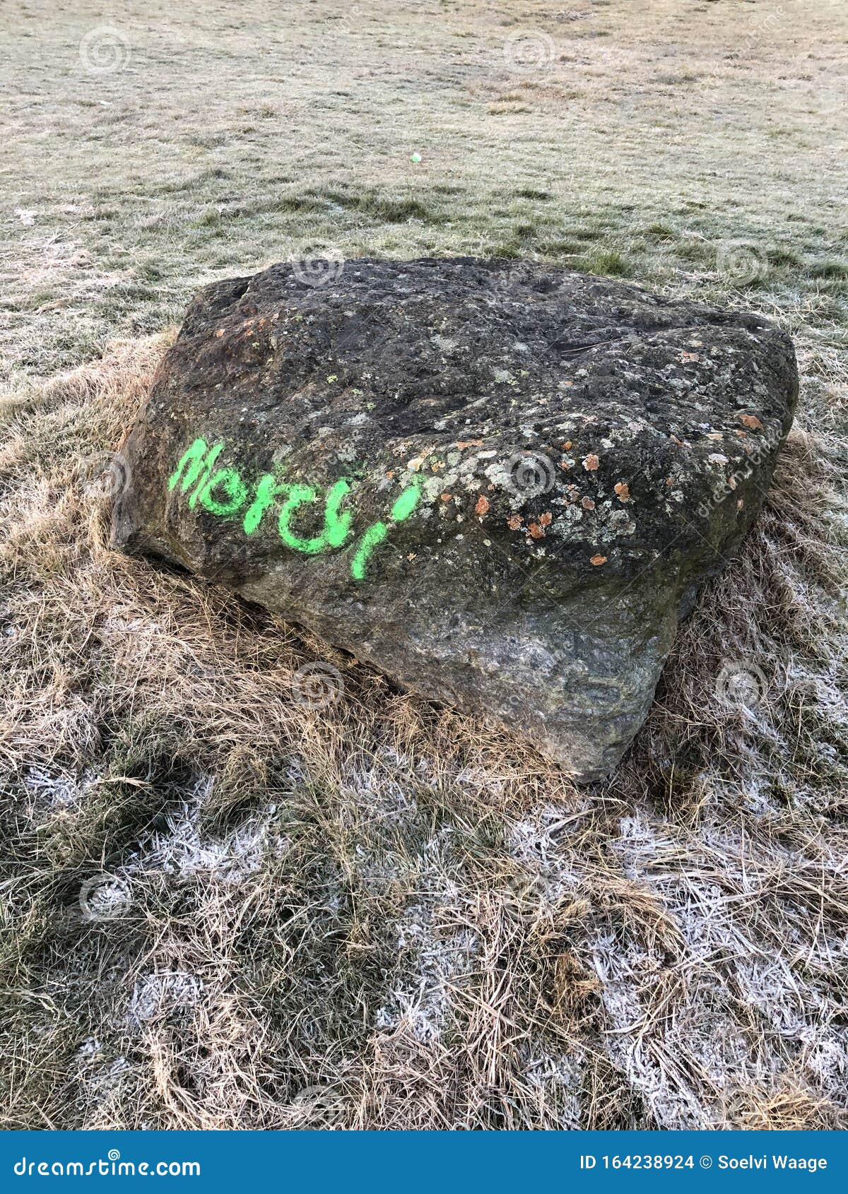 Rock with a Script or Graffiti Sign in Green Stock Photo - Image of ...