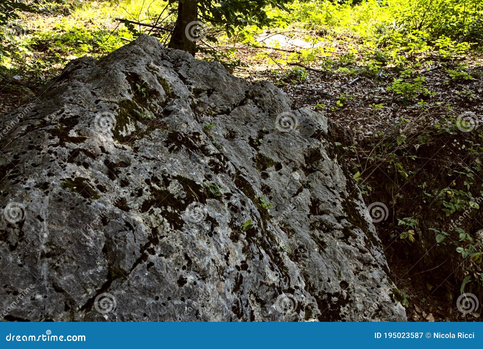 A Rock in the Shade with Musk on it Stock Image - Image of mountain ...