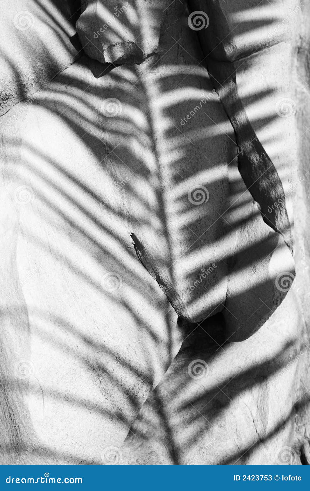 Rock with shadow. stock image. Image of vertical, 060113c0011 - 2423753